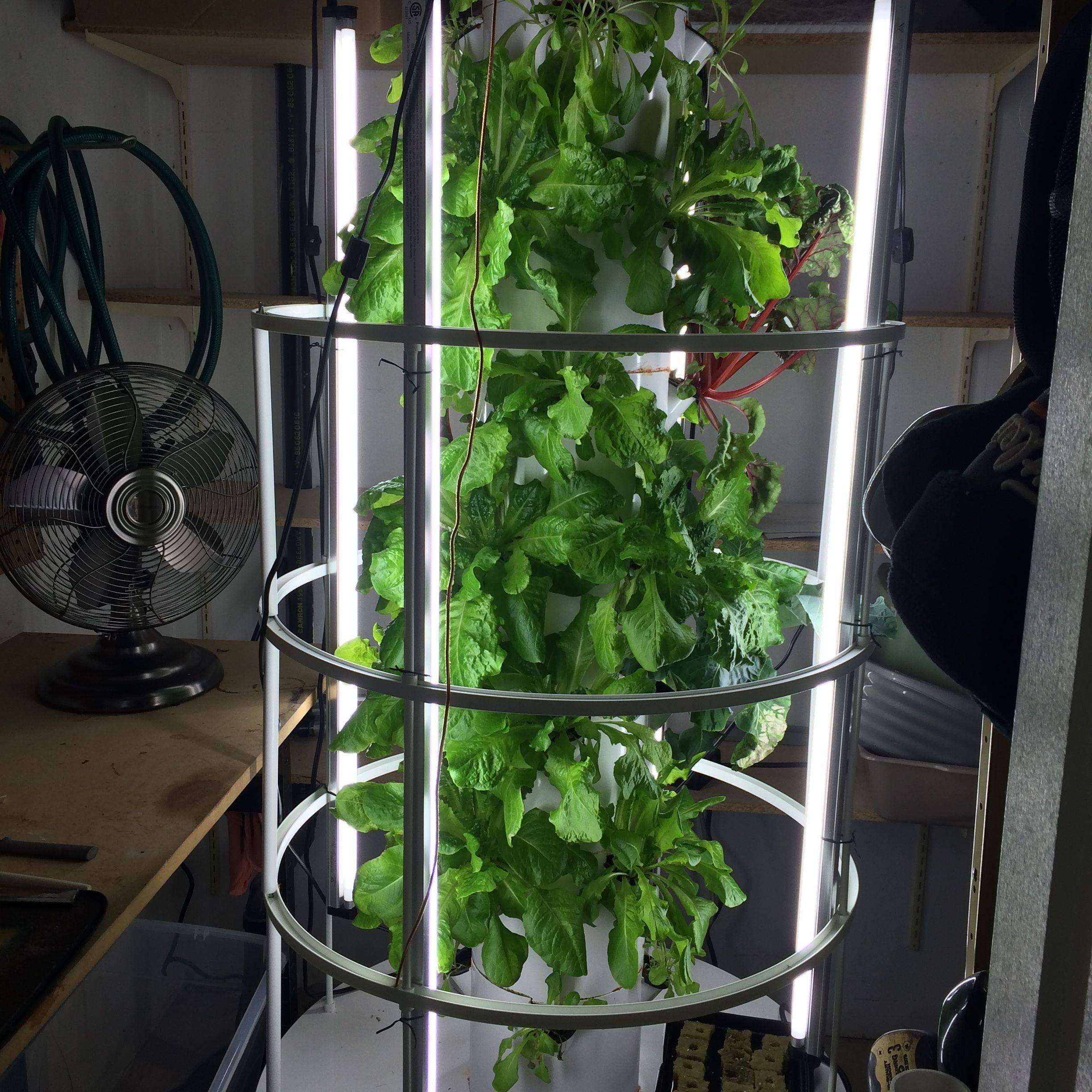 20 Indoor Aeroponic Tower Garden Ideas Worth a Look | SharonSable