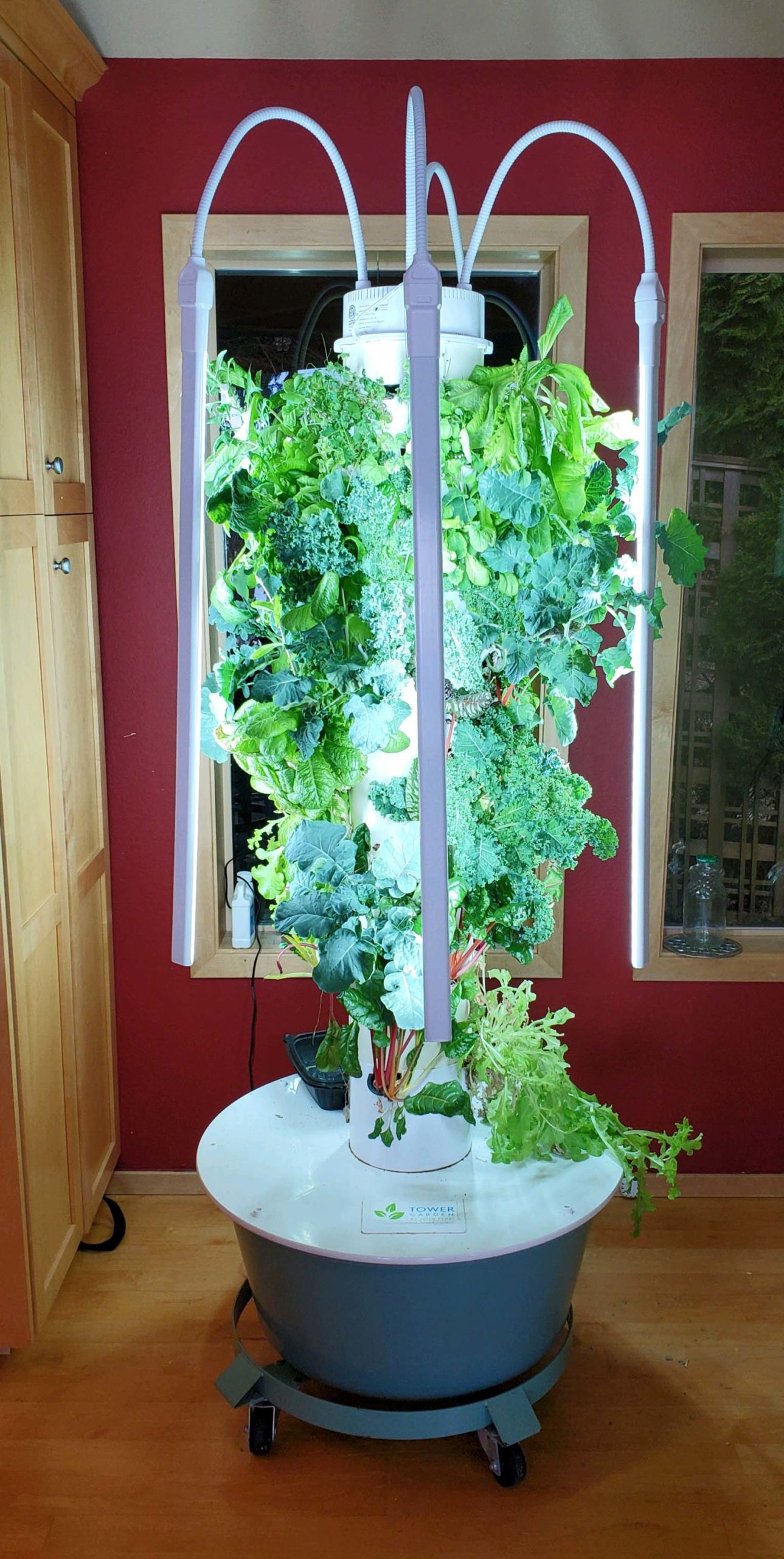20 Indoor Aeroponic Tower Garden Ideas Worth a Look | SharonSable