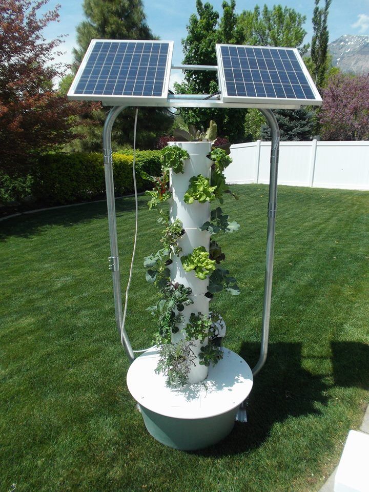 20 Indoor Aeroponic Tower Garden Ideas Worth a Look | SharonSable