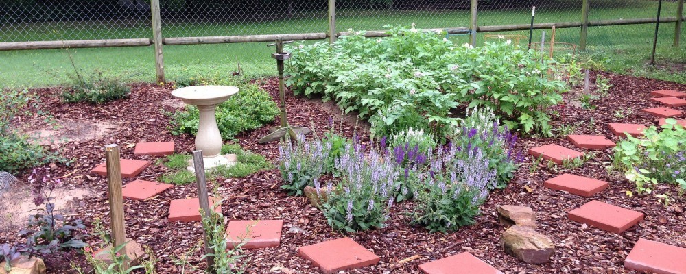 19 Honey Bee Garden Ideas You Gonna Love | SharonSable