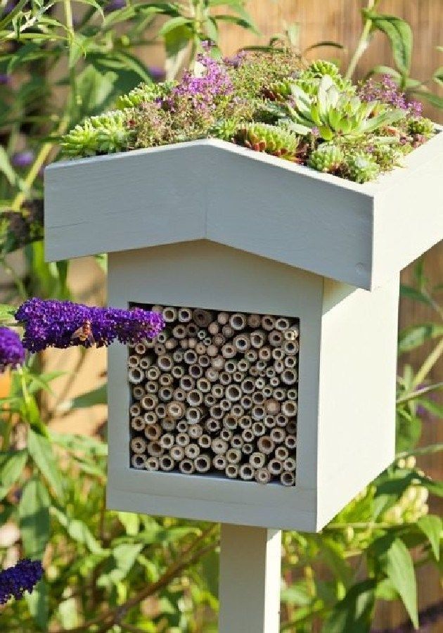 19 Honey Bee Garden Ideas You Gonna Love | SharonSable