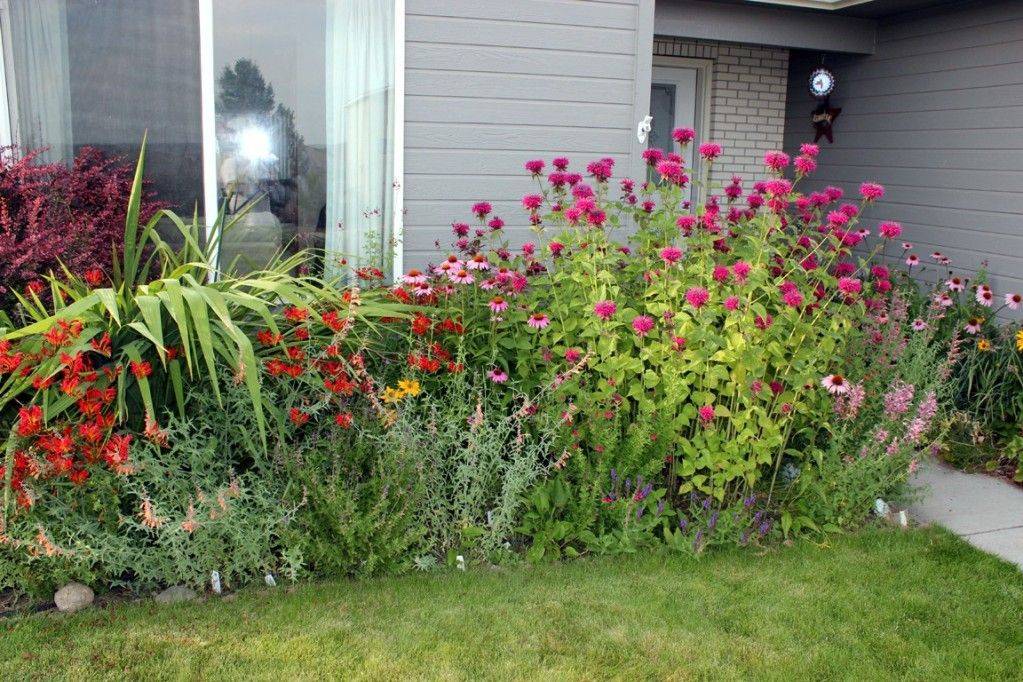 21 Hummingbird Garden Layout Ideas Worth to Check | SharonSable