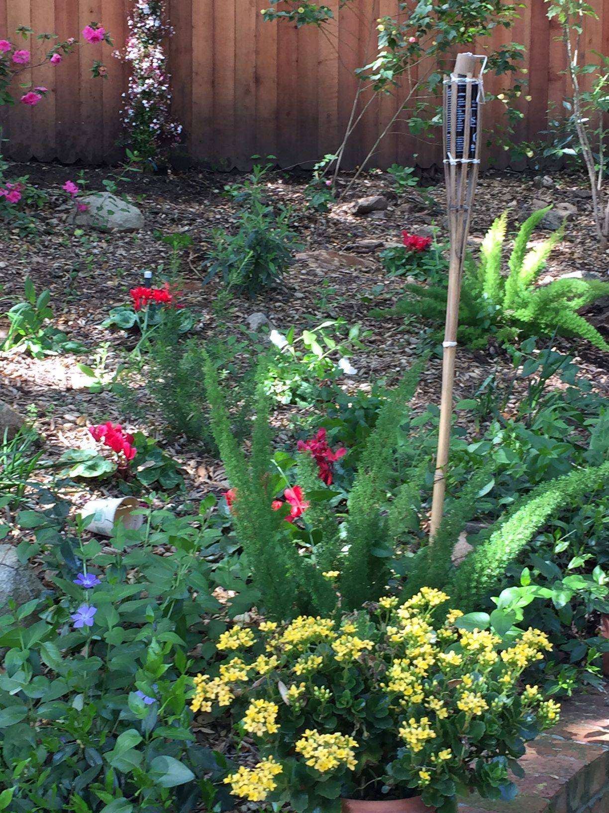 21 Hummingbird Garden Layout Ideas Worth to Check | SharonSable