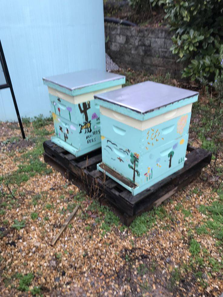 23 Garden Bee Hive Ideas For This Year | SharonSable
