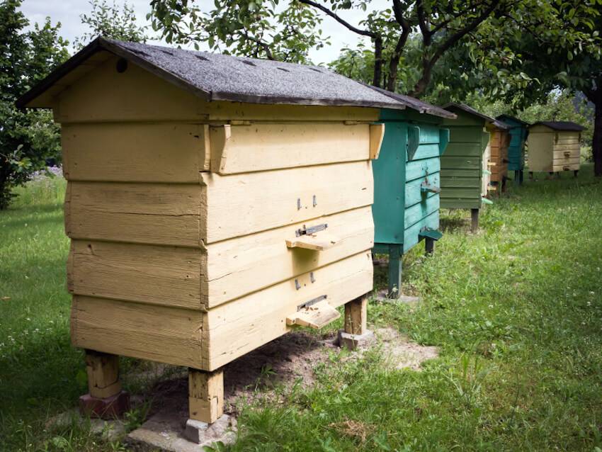 23 Garden Bee Hive Ideas For This Year | SharonSable