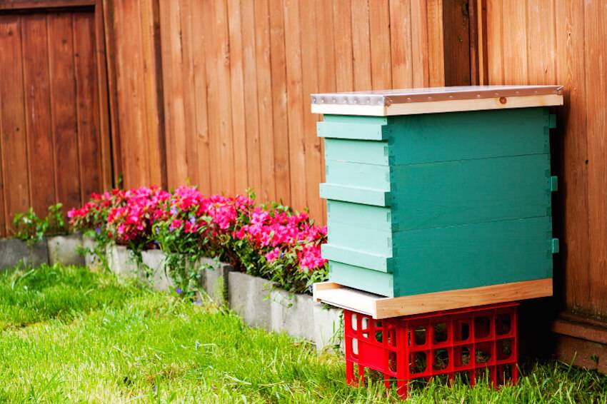 23 Garden Bee Hive Ideas For This Year | SharonSable