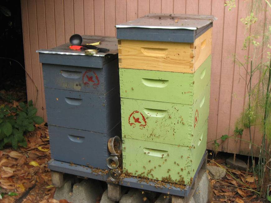 23 Garden Bee Hive Ideas For This Year | SharonSable