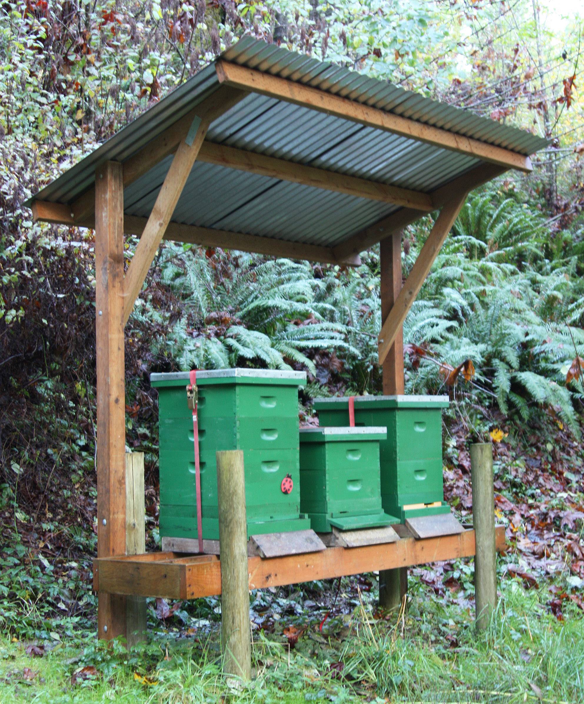 23 Garden Bee Hive Ideas For This Year | SharonSable