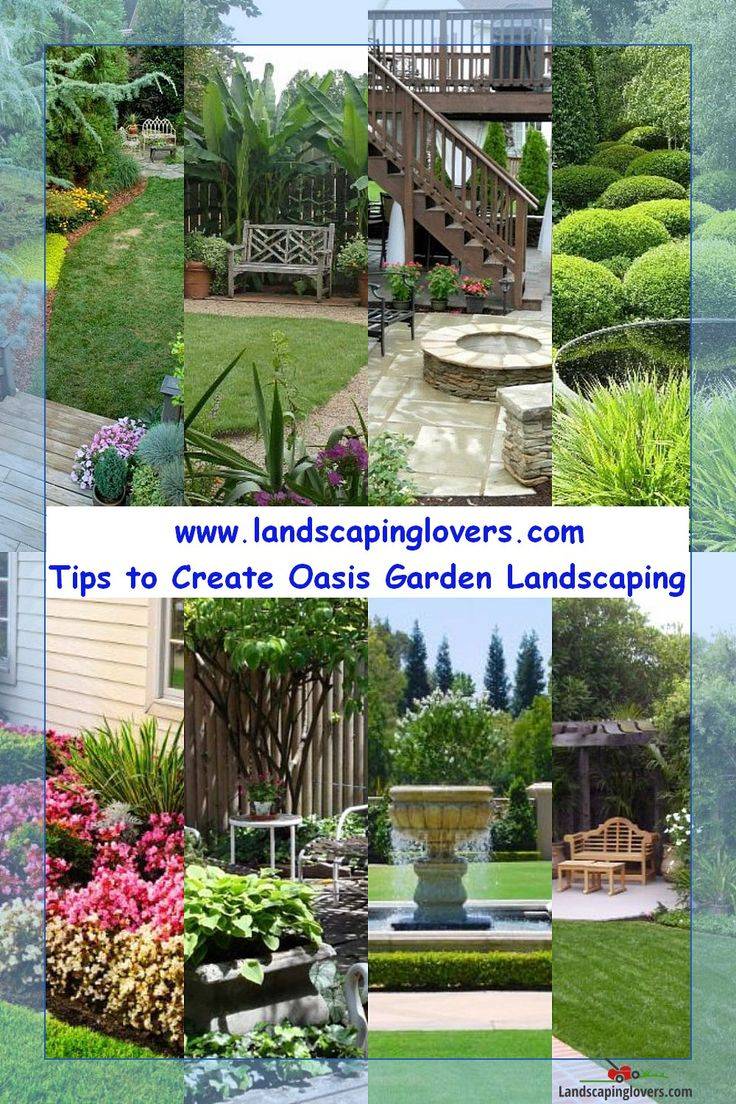 20 Quick Garden Ideas To Consider | SharonSable