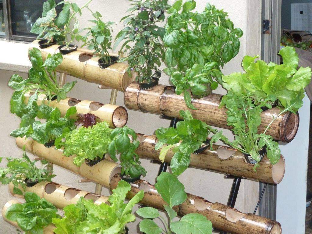 23 Bamboo Vertical Hydroponic Garden Ideas You Cannot Miss | SharonSable