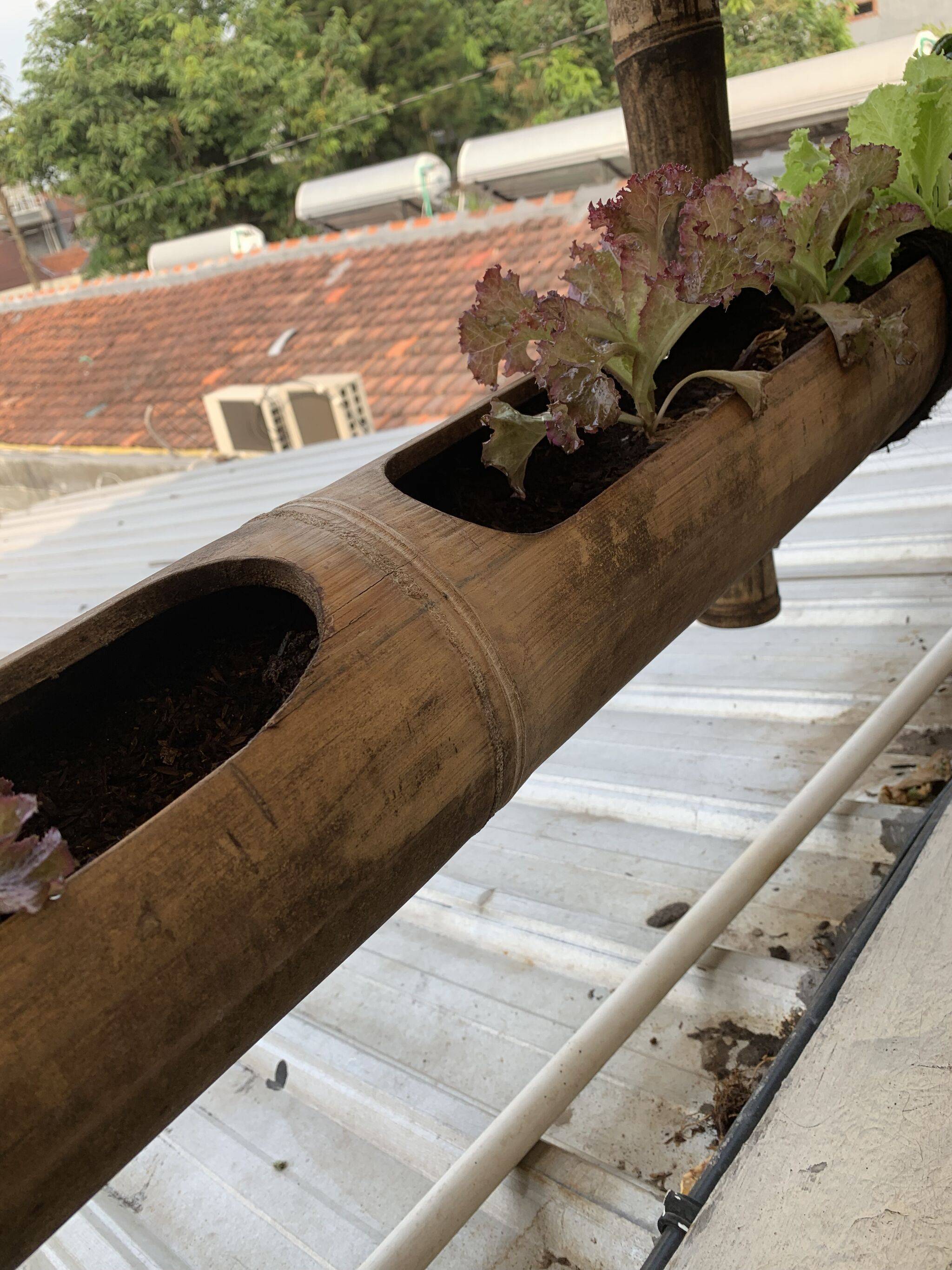 23 Bamboo Vertical Garden Planter Ideas You Cannot Miss | SharonSable