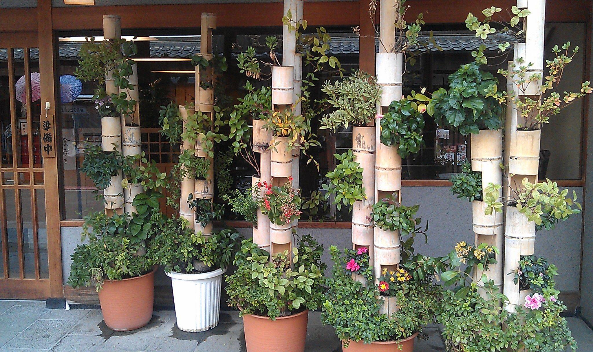 23 Bamboo Vertical Garden Planter Ideas You Cannot Miss | SharonSable