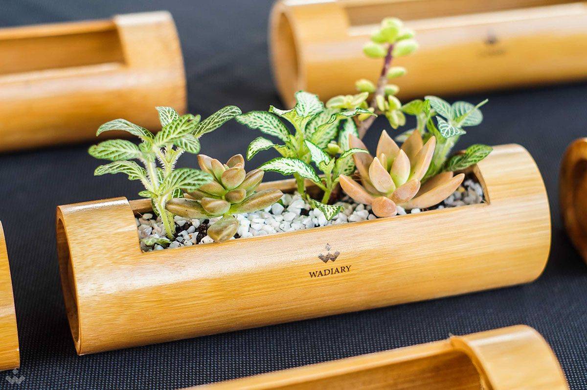 23 Bamboo Vertical Garden Planter Ideas You Cannot Miss | SharonSable