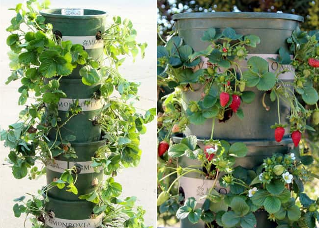 18 Garden Tower Project DIY Ideas To Consider | SharonSable