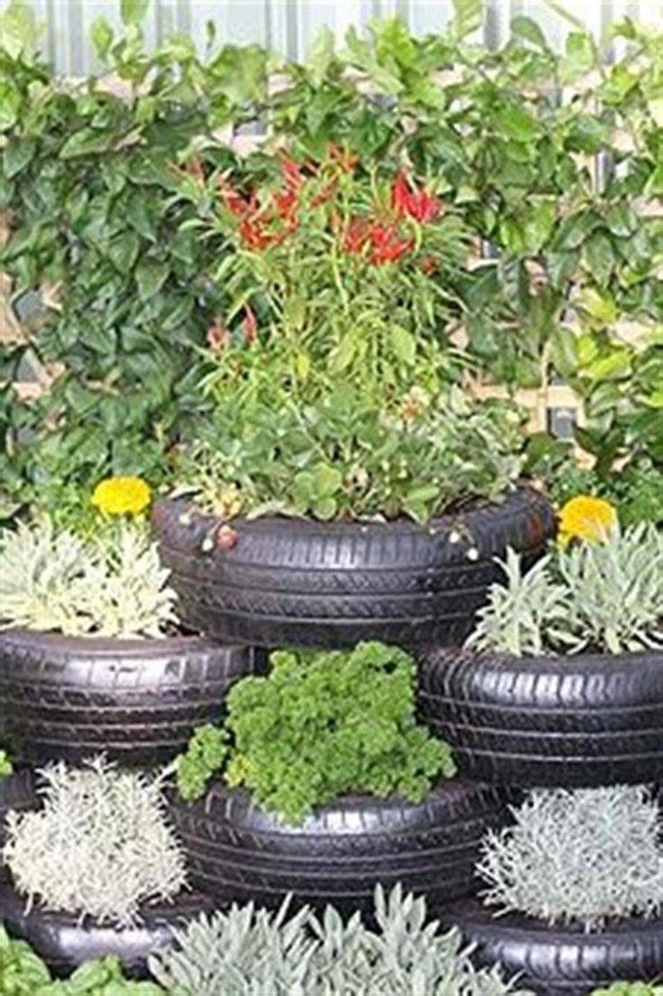 19 Clever Gardening Tip Ideas You Must Look | SharonSable