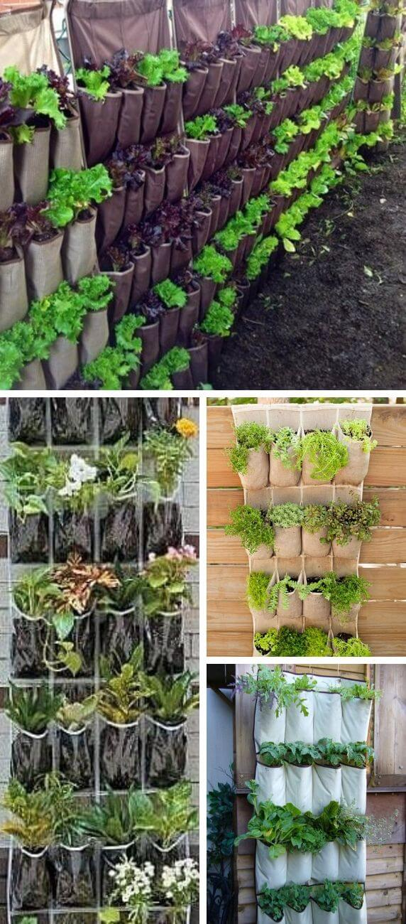 19 Clever Gardening Tip Ideas You Must Look | SharonSable