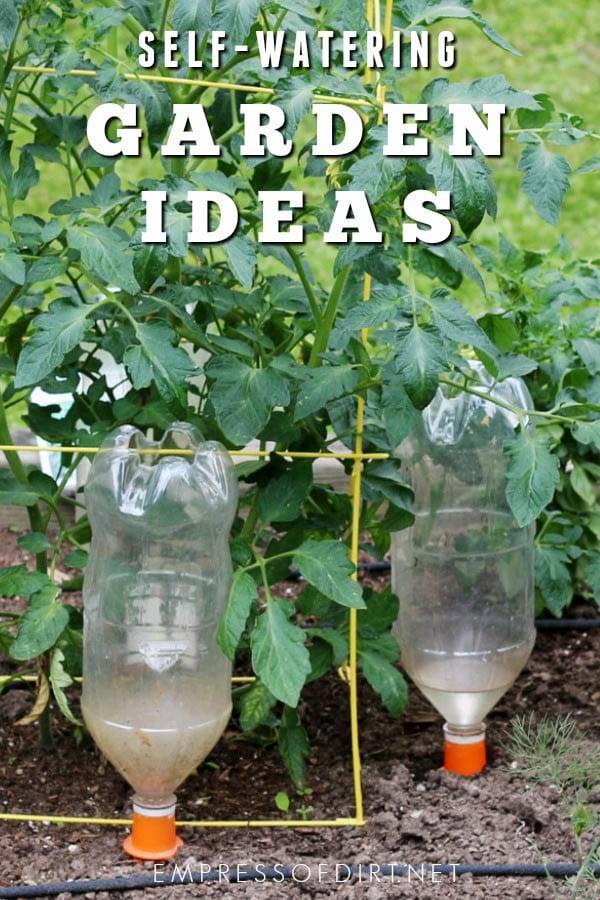 16 Garden Watering Ideas To Try This Year | SharonSable