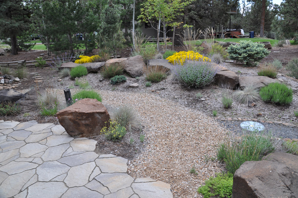 20 Arid Garden Design Ideas Worth to Check | SharonSable
