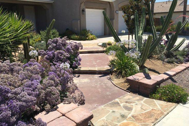 20 Arid Garden Design Ideas Worth to Check | SharonSable
