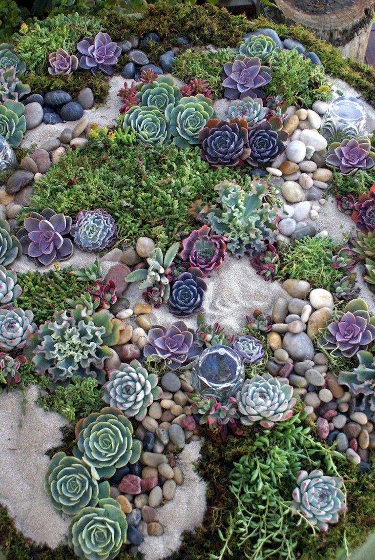 21 Succulent River Rock Garden Ideas You Should Look | SharonSable