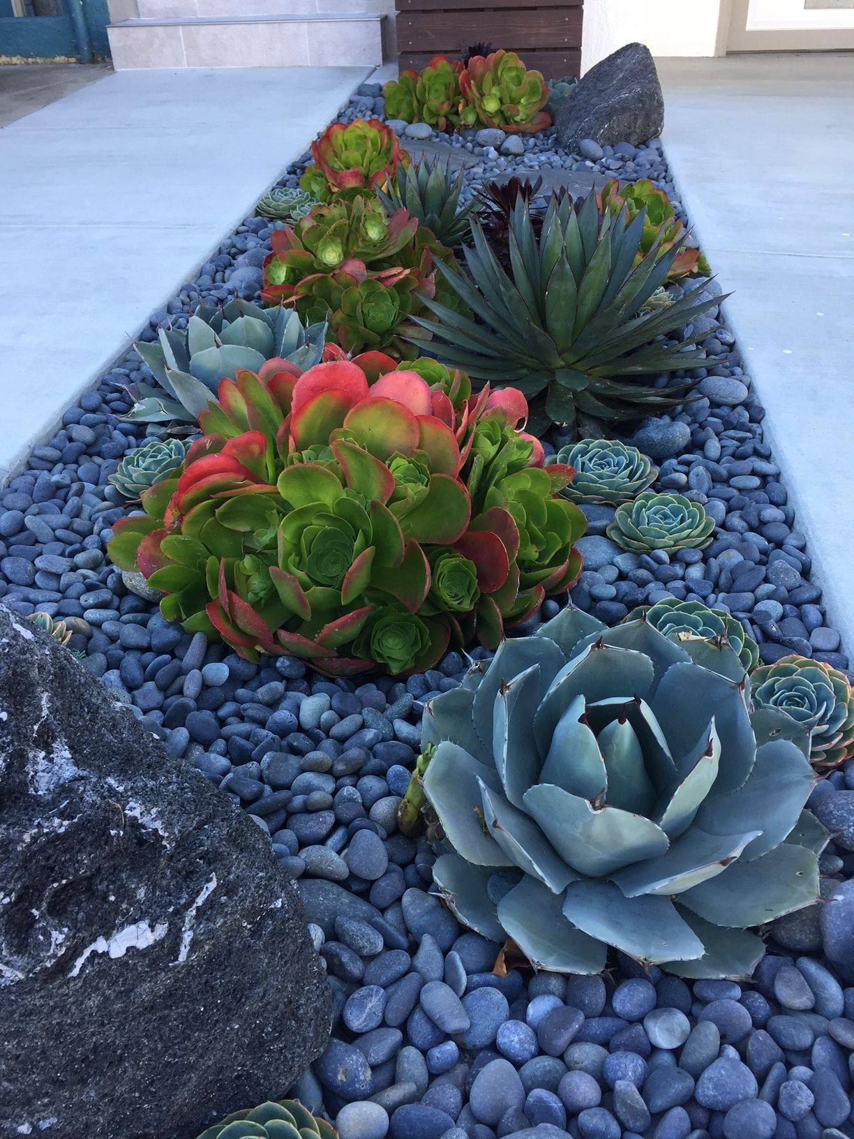 18 Succulent Garden Design for Yards Ideas You Should Check | SharonSable