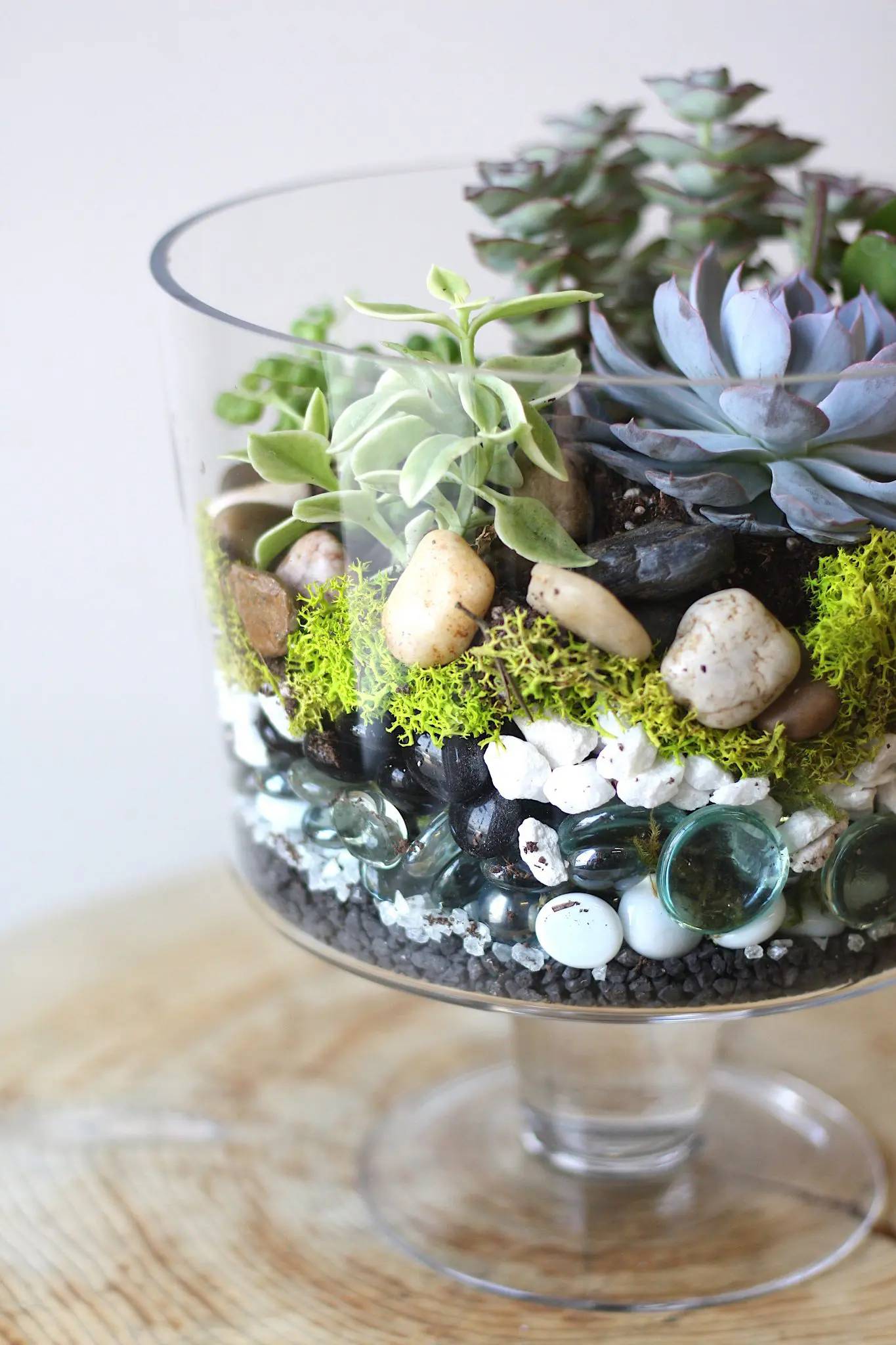 10 Terrarium Succulent Garden Ideas You Should Look | SharonSable