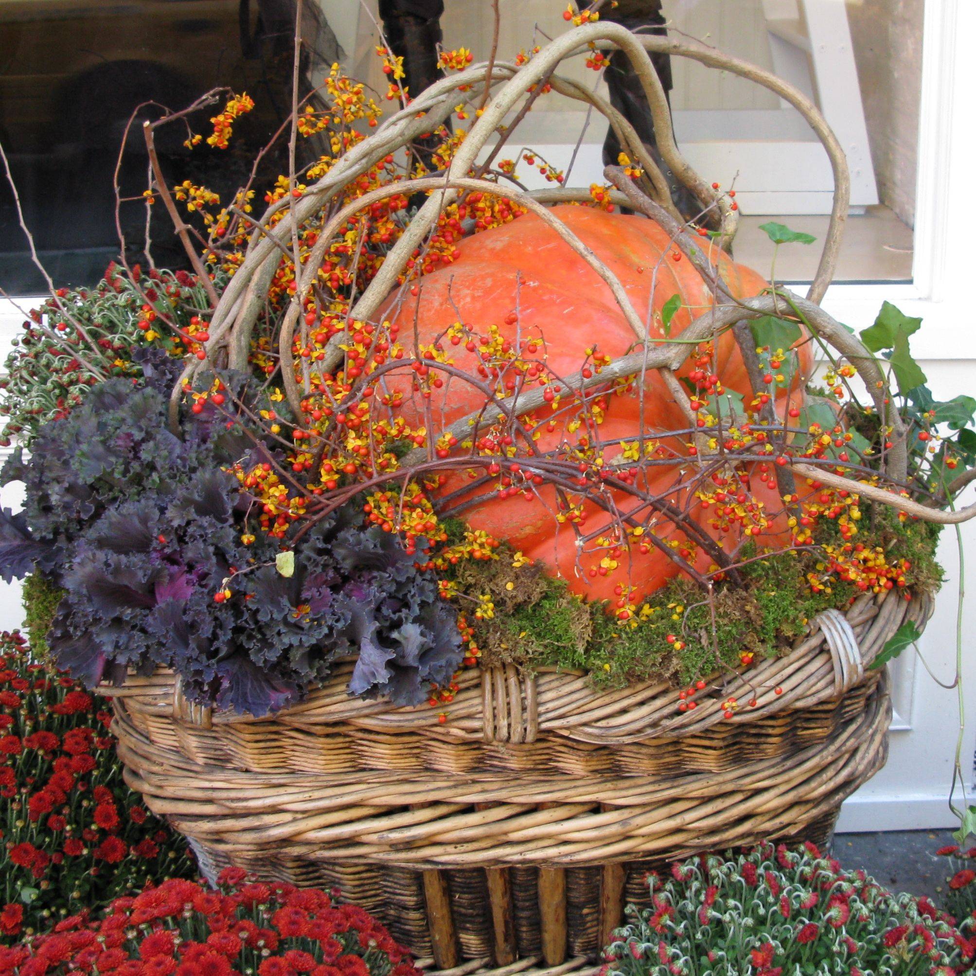 24 Autumn Container Garden Ideas Worth to Check | SharonSable