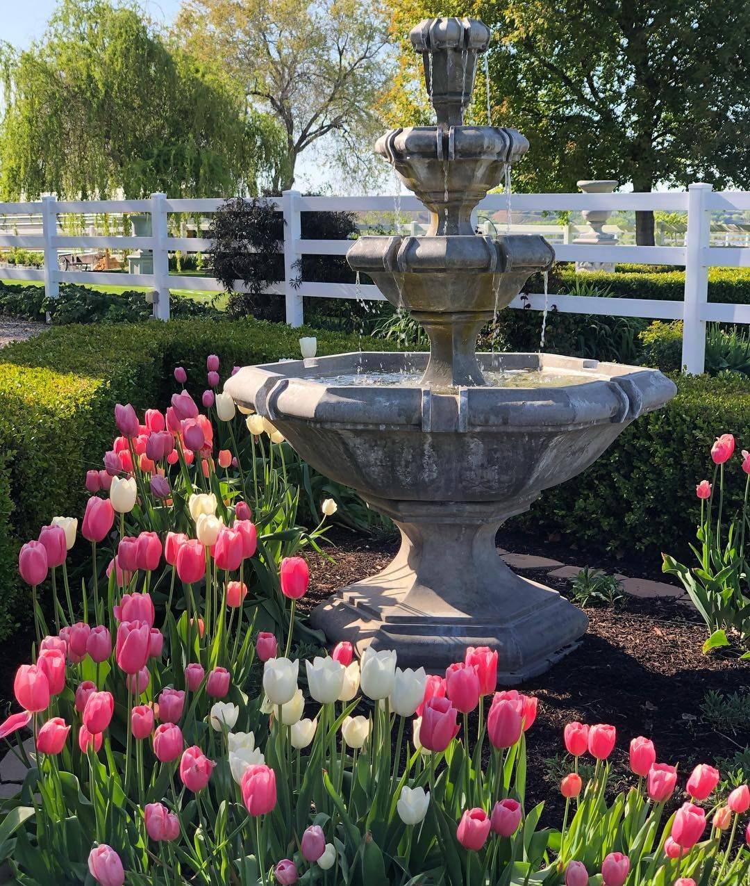 24 Peaceful Flower Garden Ideas You Must Look | SharonSable