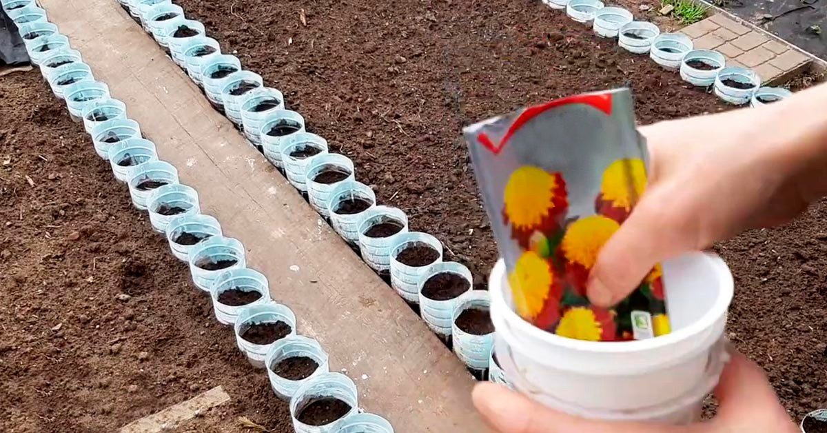 16 Plastic Bottle Garden Border Ideas You Gonna Love | SharonSable