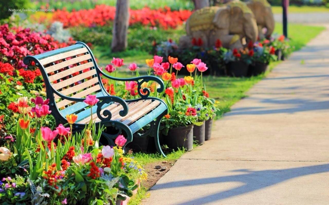 20 Flower Garden with Park Bench Ideas Worth to Check | SharonSable
