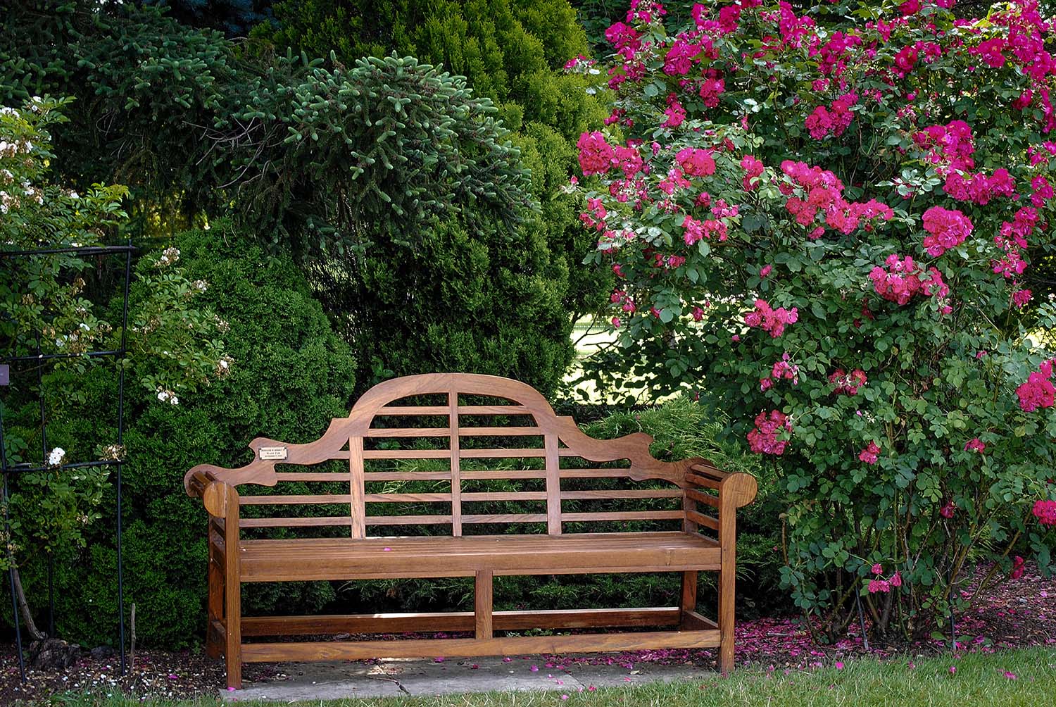 21 Garden Bench Landscape Ideas To Try This Year | SharonSable
