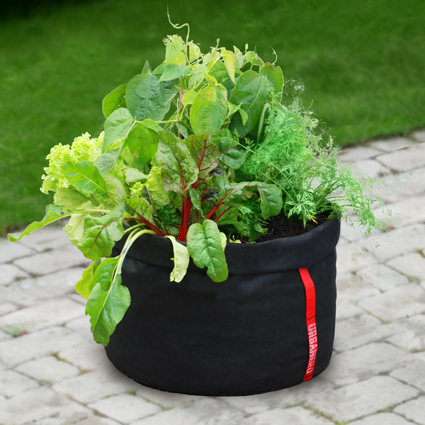 23 Microgarden Ideas You Should Check | SharonSable