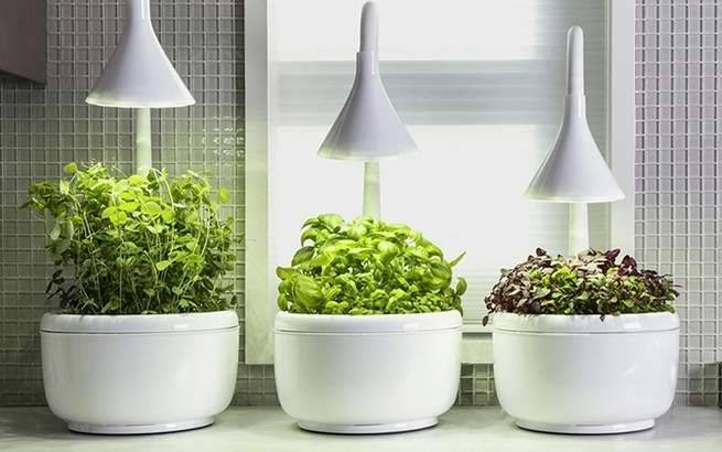 23 Microgarden Ideas You Should Check | SharonSable