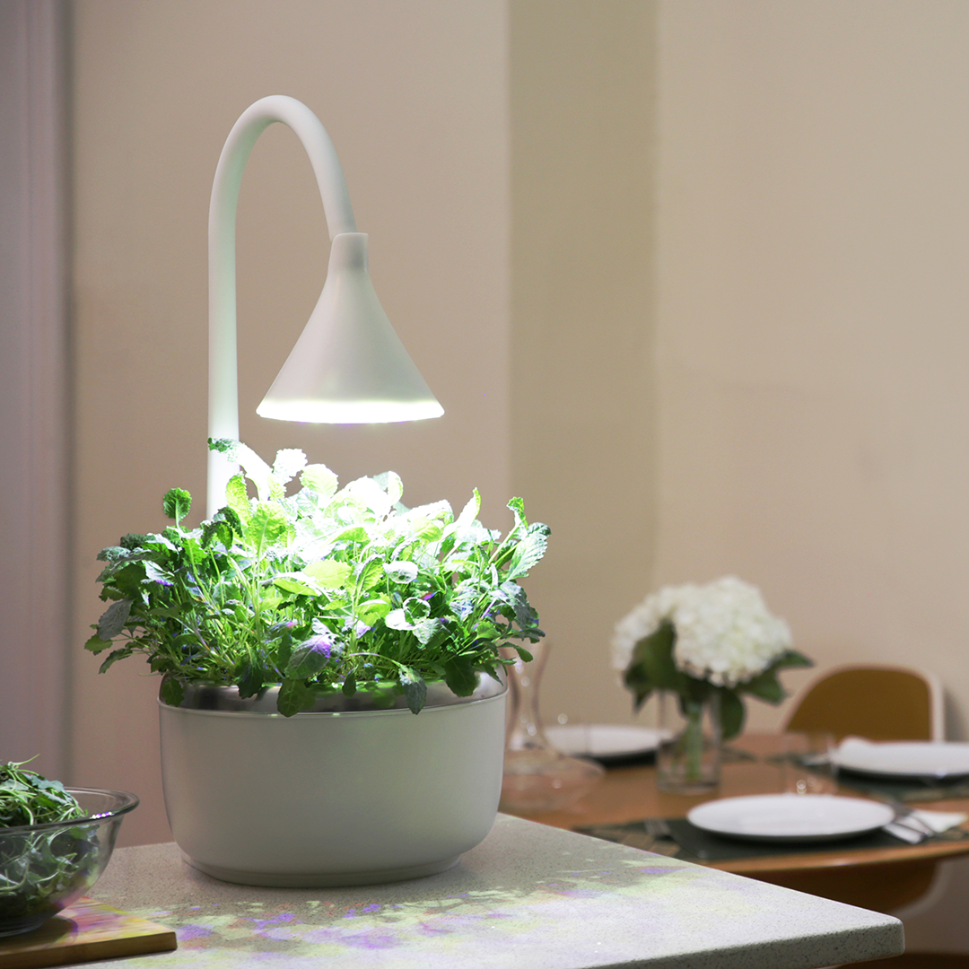 23 Microgarden Ideas You Should Check | SharonSable