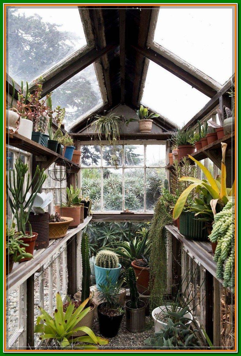 23 Microgarden Ideas You Should Check | SharonSable