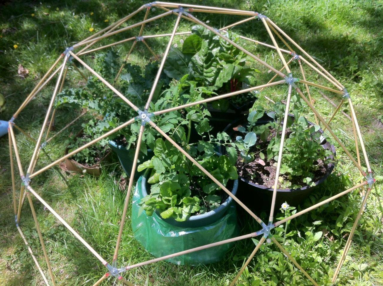 23 Microgarden Ideas You Should Check | SharonSable