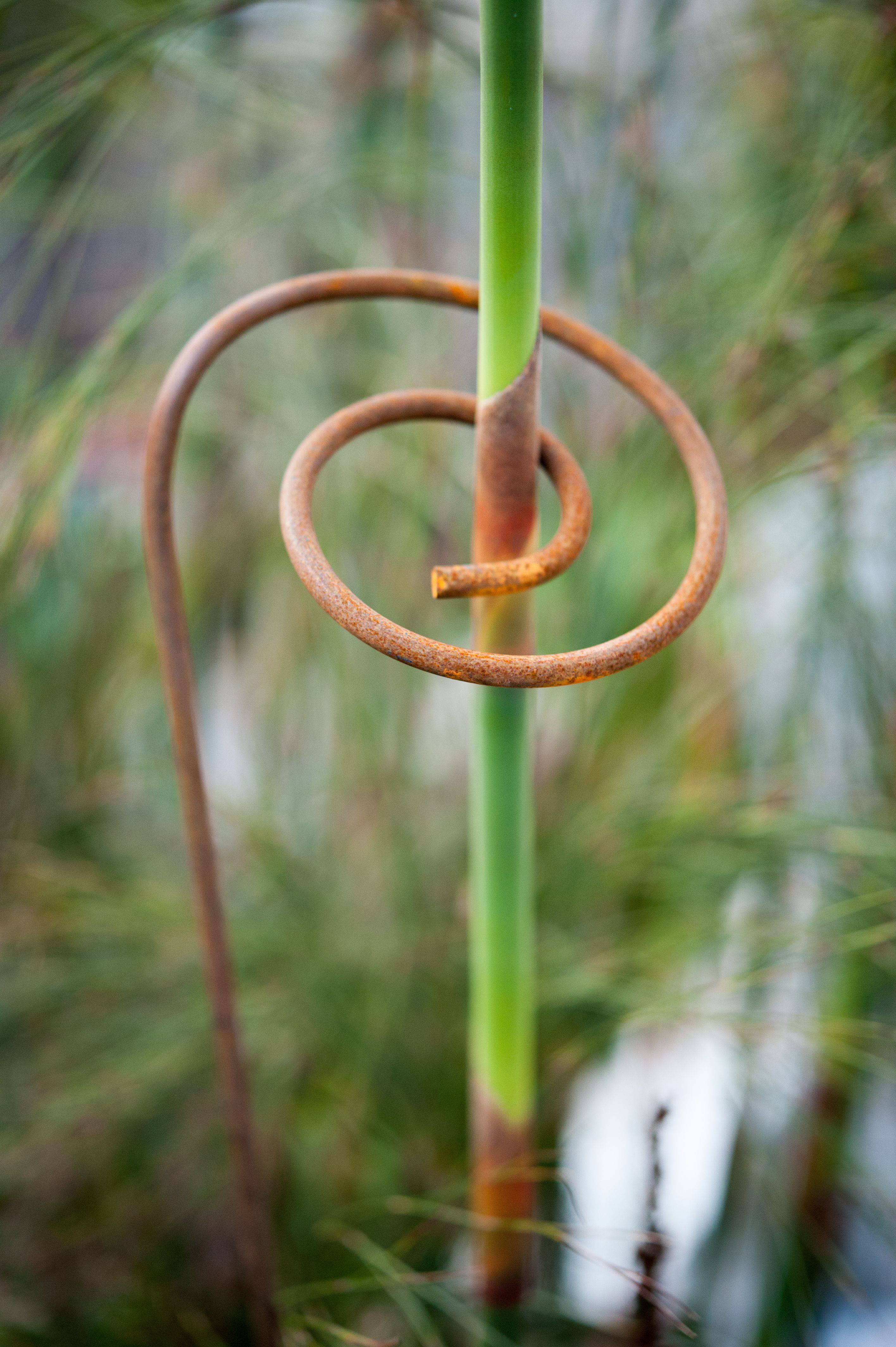 22 Spiral Garden Stakes Ideas You Should Look | SharonSable