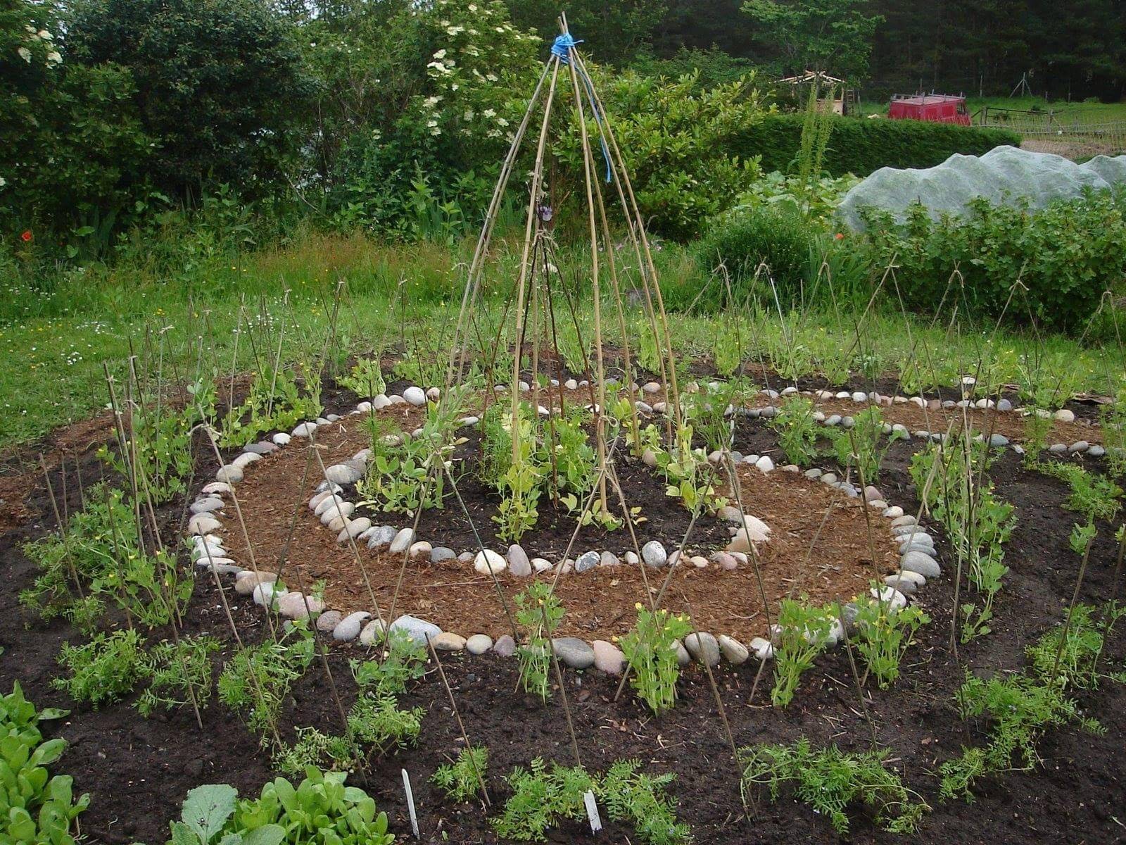 22 Spiral Garden Labyrinth Ideas For This Year | SharonSable