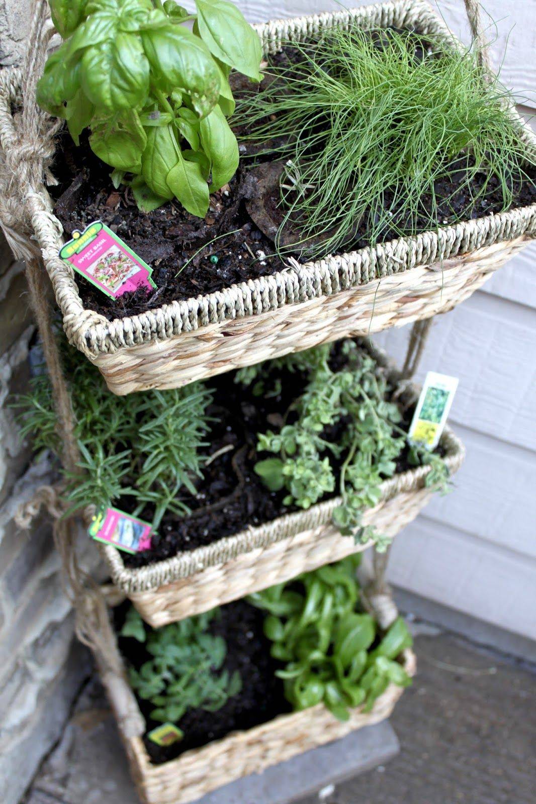 24 Magical Herb Garden Ideas You Should Check | SharonSable