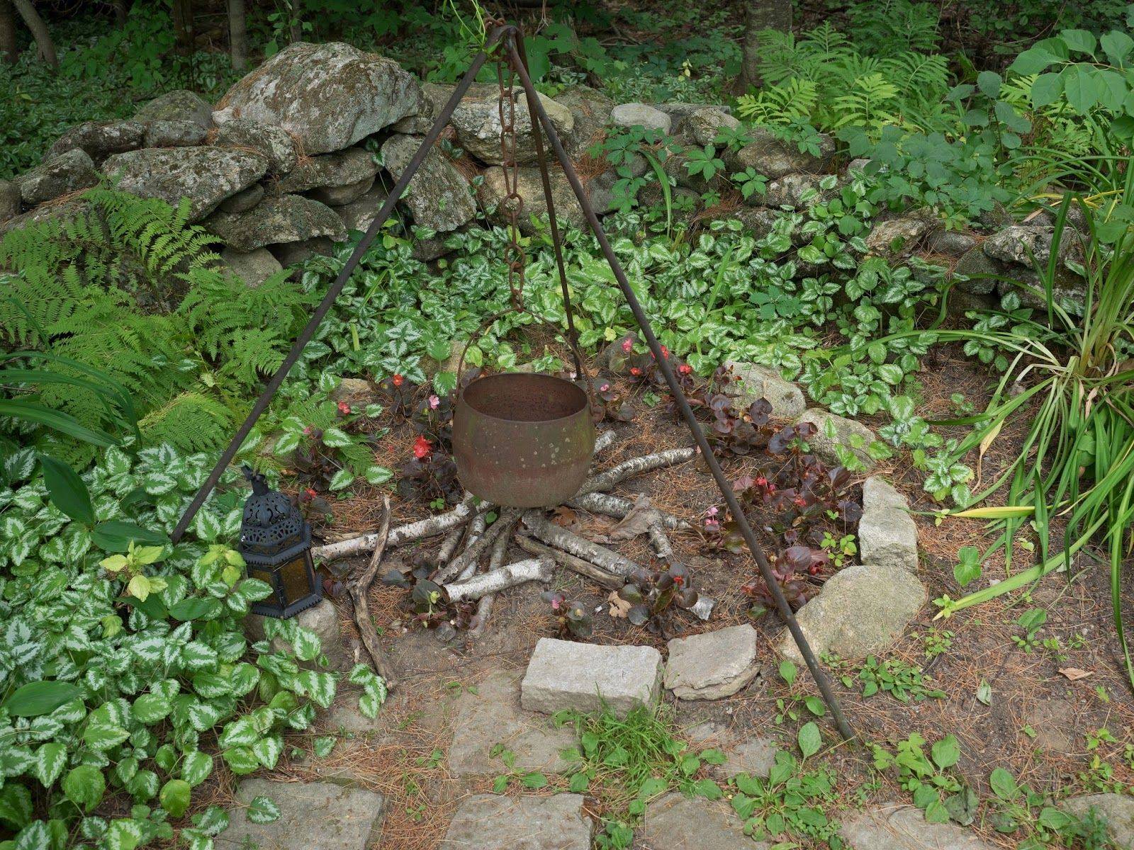 20 Witches Garden Plant List Ideas You Should Check | SharonSable