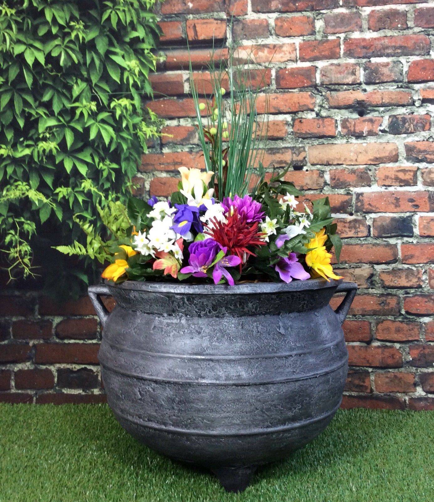 20 Witches Garden Plant List Ideas You Should Check | SharonSable