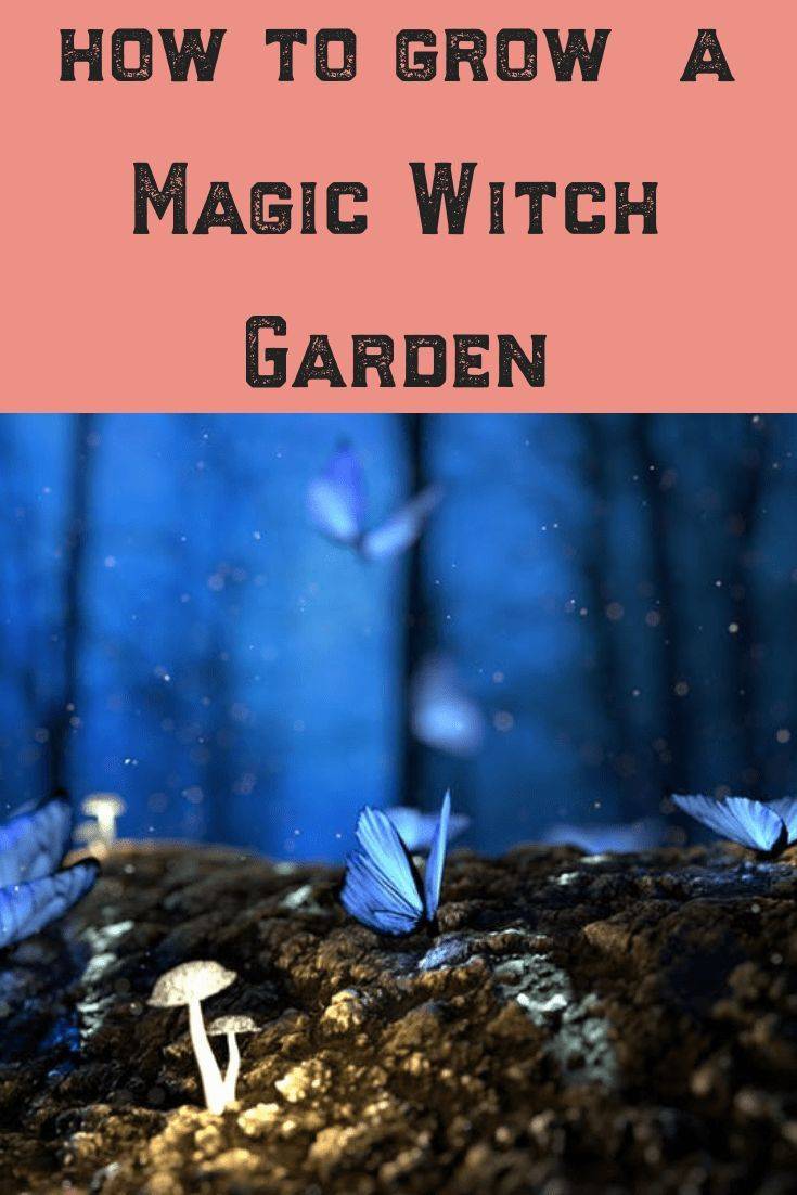 20 Witches Garden Plant List Ideas You Should Check | SharonSable
