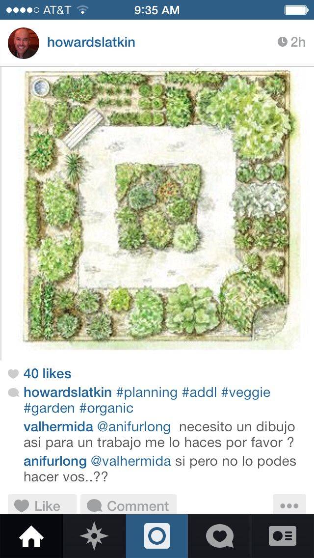 19 Medicinal Herb Garden Layout Ideas For This Year | SharonSable