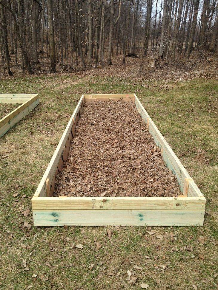 20 Lasagna Gardening Ideas You Should Look | SharonSable