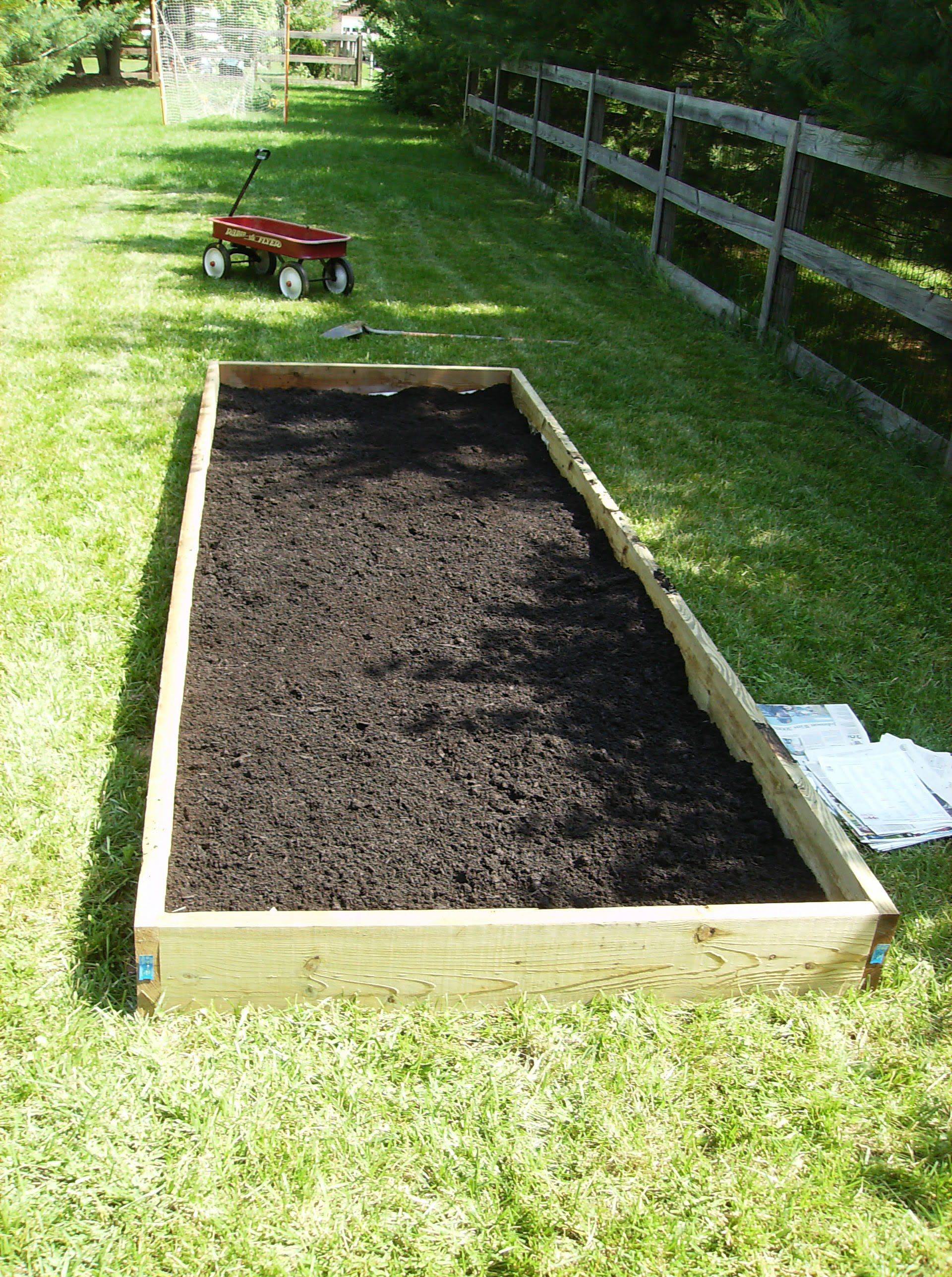 20 Lasagna Gardening Ideas You Should Look | SharonSable