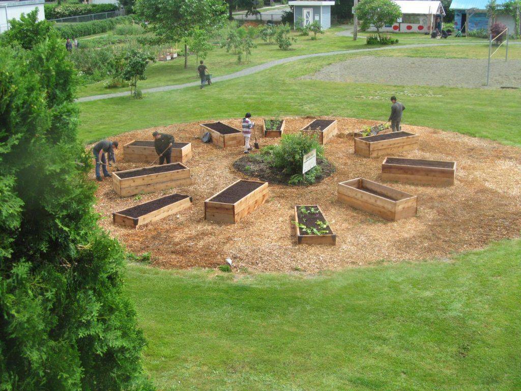 11 Mandala Gardening Ideas Worth a Look | SharonSable