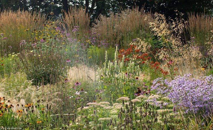 17 Dutch Garden Ideas You Must Look | SharonSable