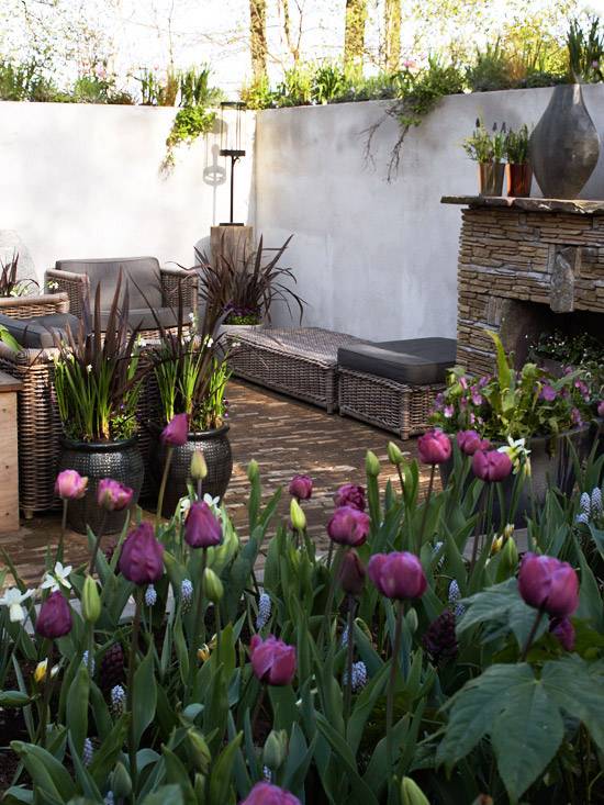 17 Dutch Garden Ideas You Must Look | SharonSable