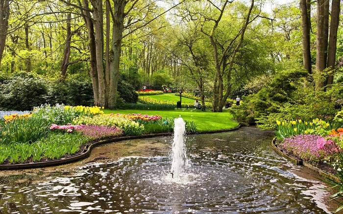 17 Dutch Garden Ideas You Must Look | SharonSable