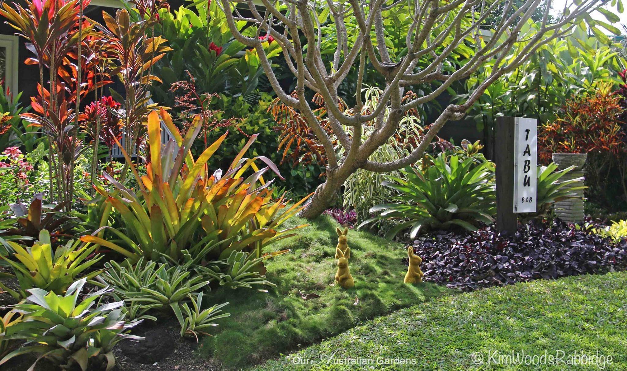 20 Queensland Garden Ideas You Should Look | SharonSable